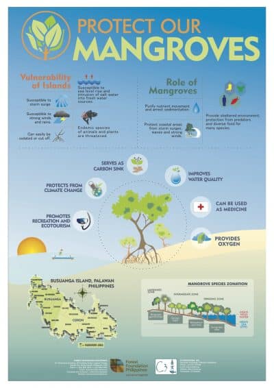 Mangrove Poster - Forest Foundation Philippines