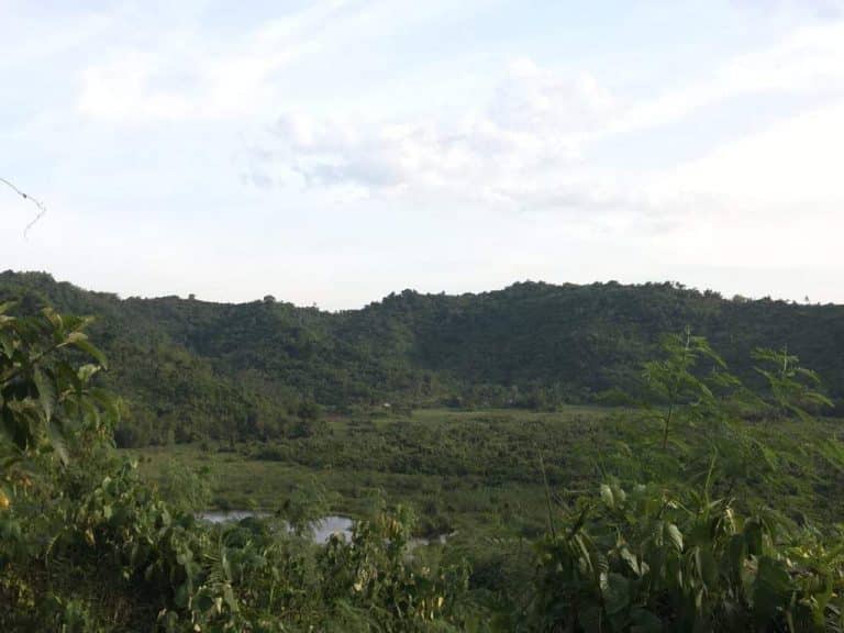 Forest Foundation Philippines | Landscapes | Conserving Forests