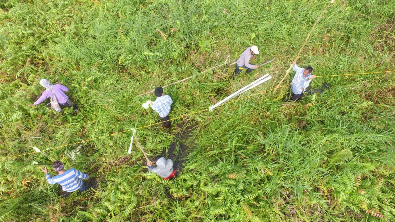 Forest Foundation Philippines | Lets Grow Together