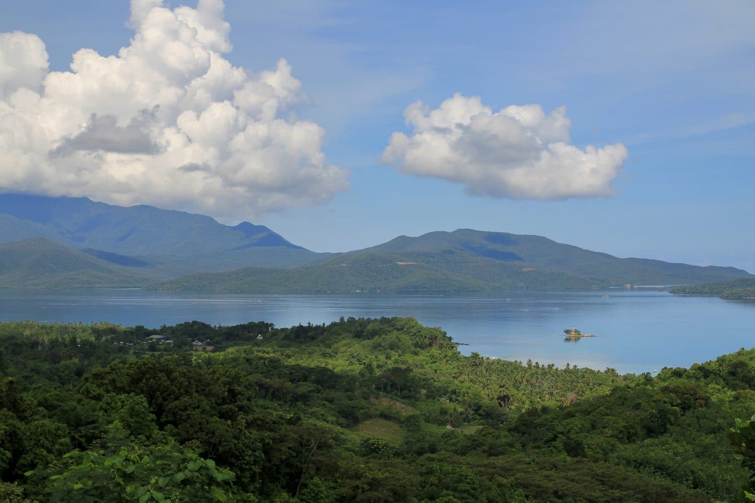 Forest Foundation Philippines | Lets Grow Together