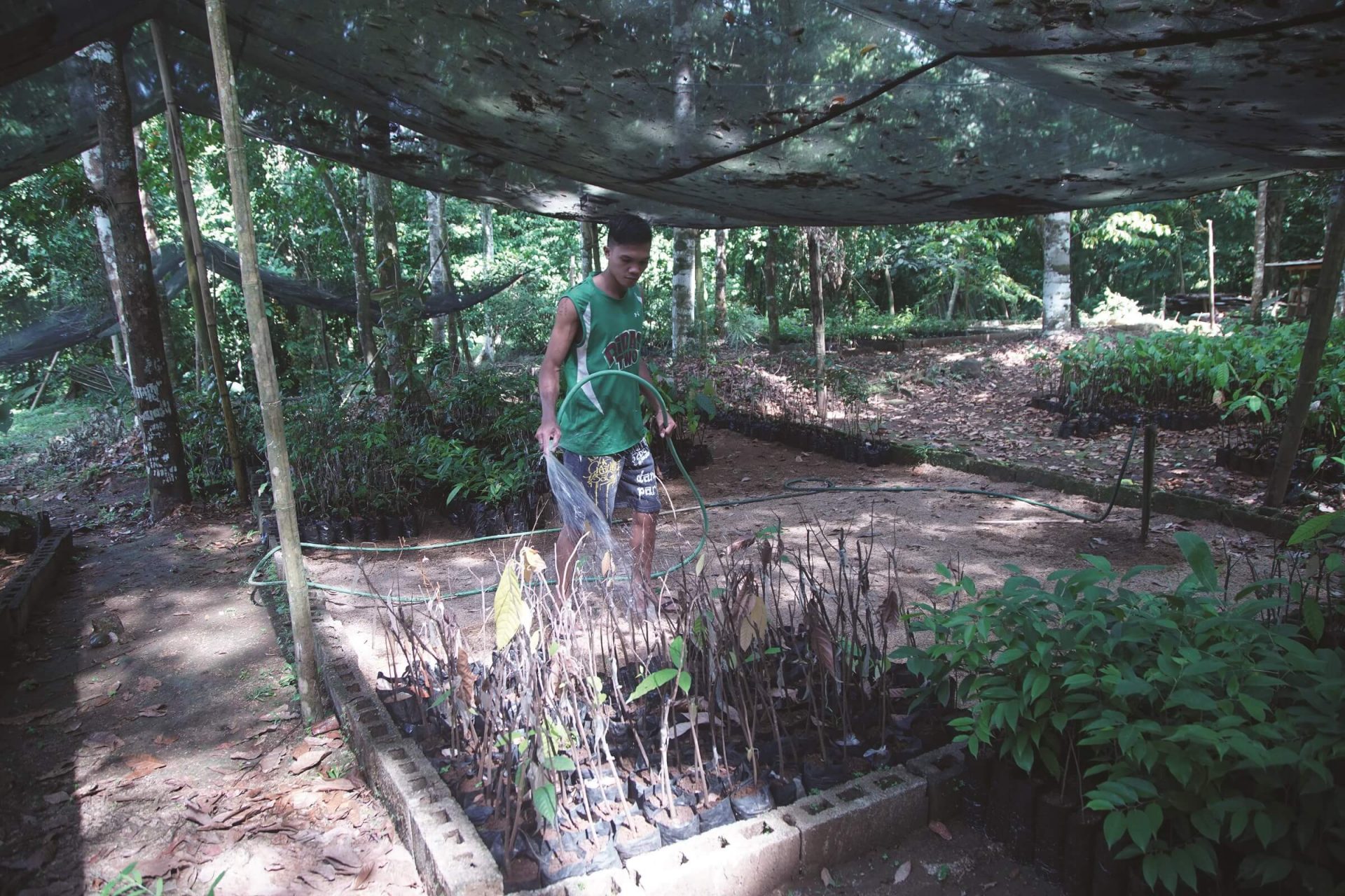 Forest Foundation Philippines | Projects | How Can We Conserve Forest