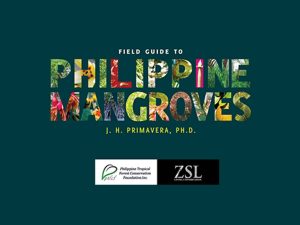 PTFCF Launches Manual for Mangrove Rehabilitation to Support Ecosystems ...