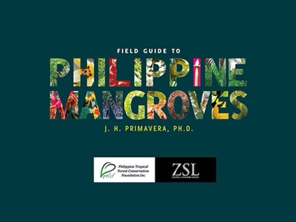 PTFCF Launches Manual for Mangrove Rehabilitation to Support Ecosystems ...