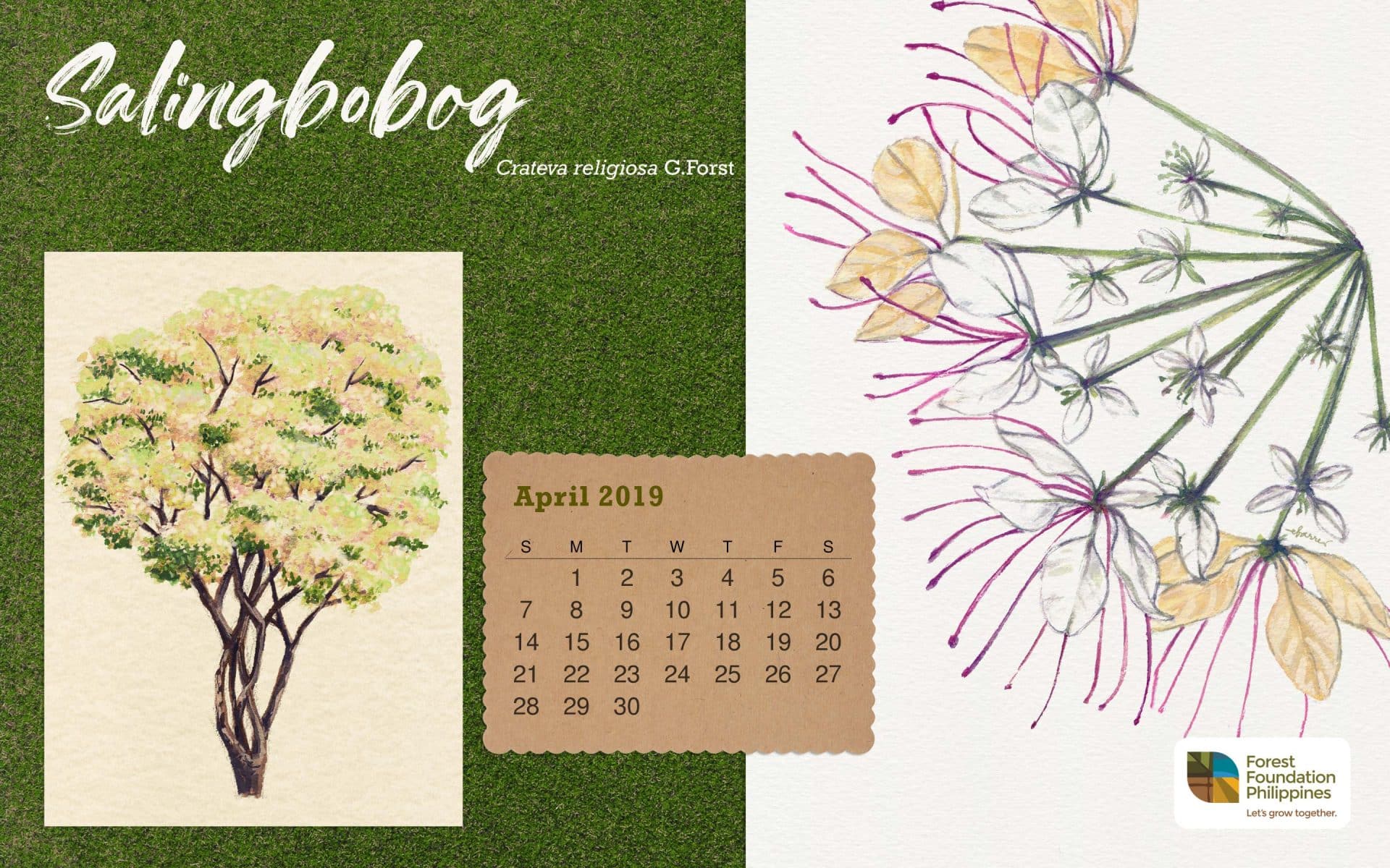 #ForestBloomsPH April 2019 Desktop Wallpaper - Forest Foundation ...