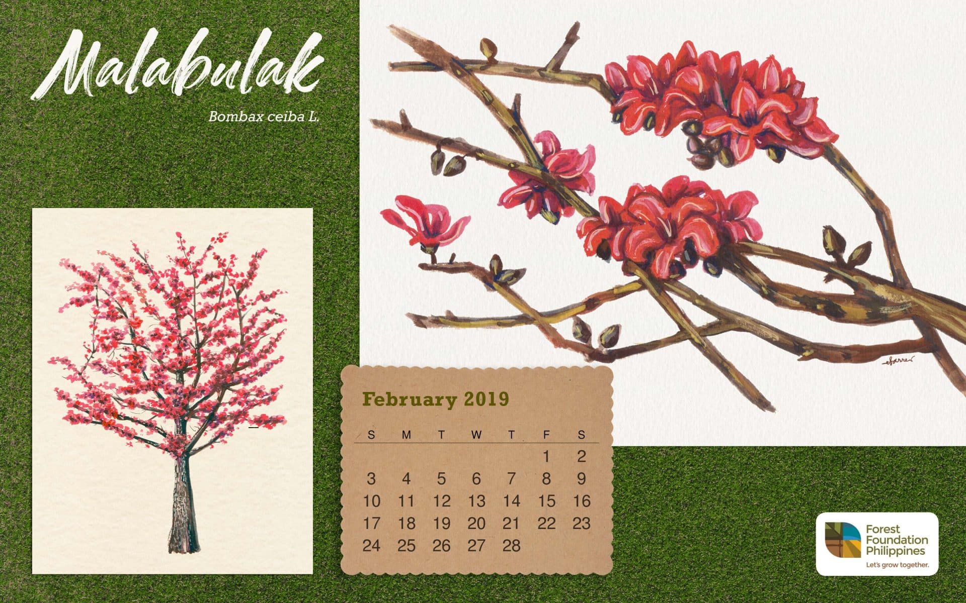 #ForestBloomsPH February 2019 Desktop Wallpaper - Forest Foundation ...