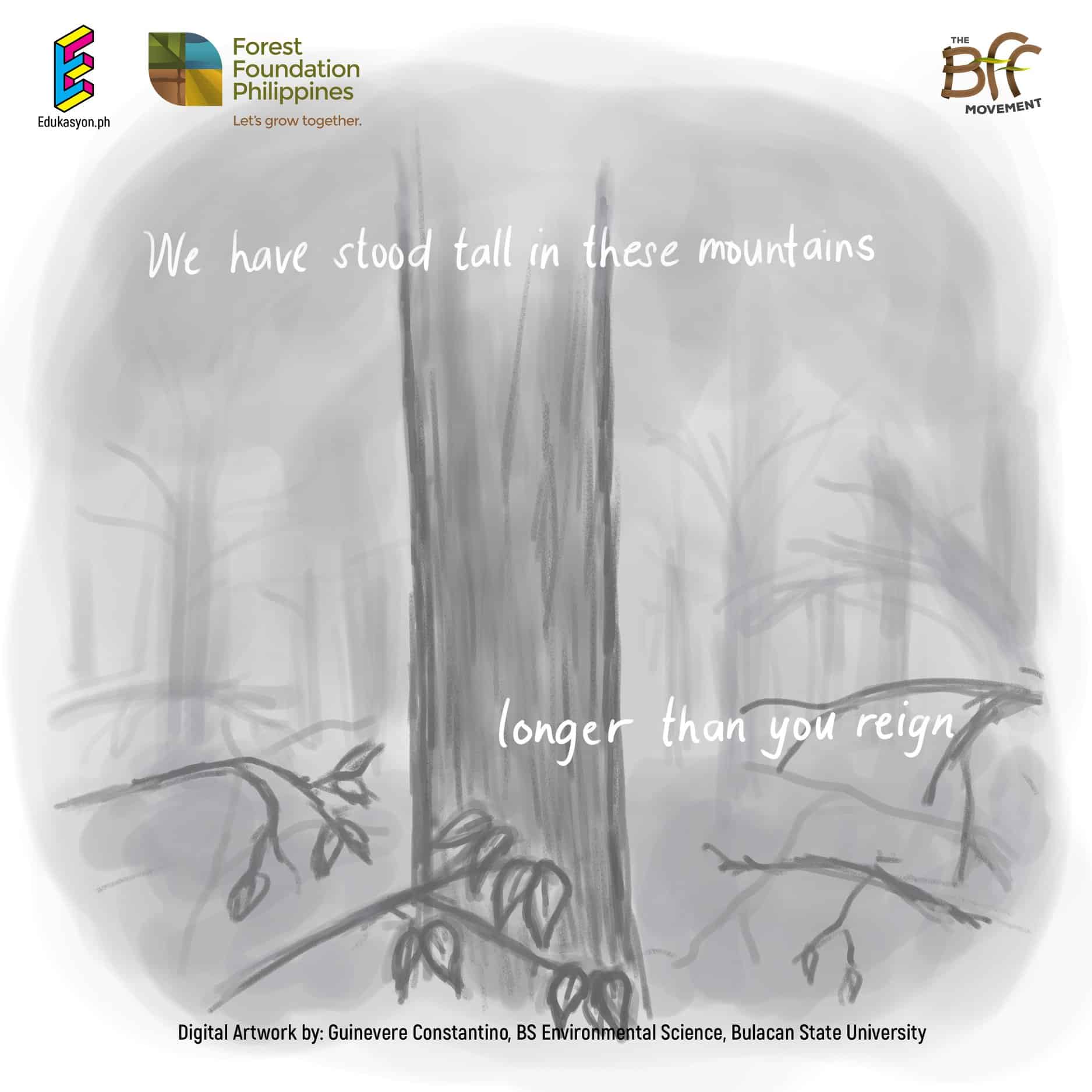 For Every Rise, There is a Fall - Forest Foundation Philippines