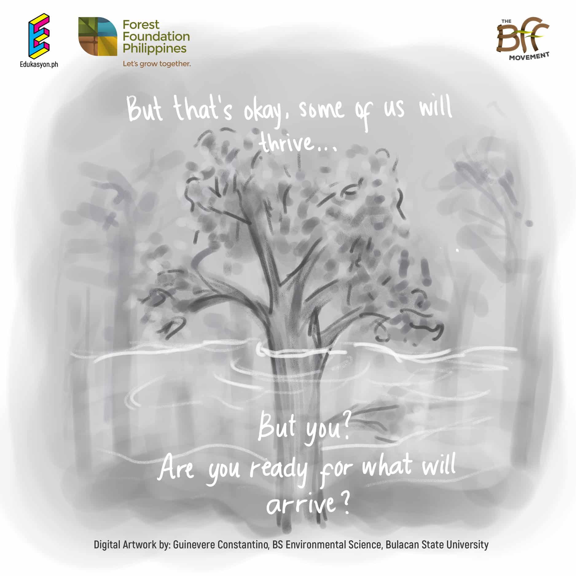 For Every Rise, There is a Fall - Forest Foundation Philippines