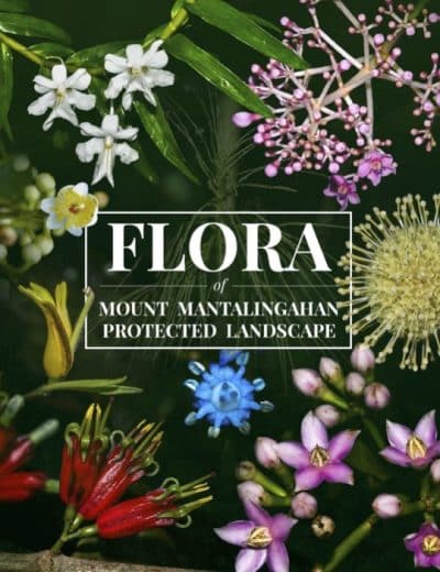 Flora of Mount Mantalingahan Protected Landscape Field Guide - Forest ...