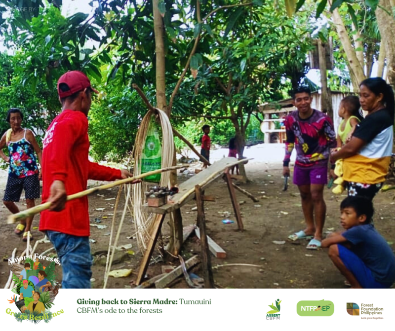 Giving Back to Sierra Madre: Tumauini CBFM’s Ode to the Forests ...