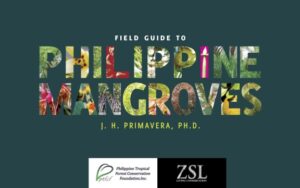 Field Guide to Philippine Mangroves - Forest Foundation Philippines