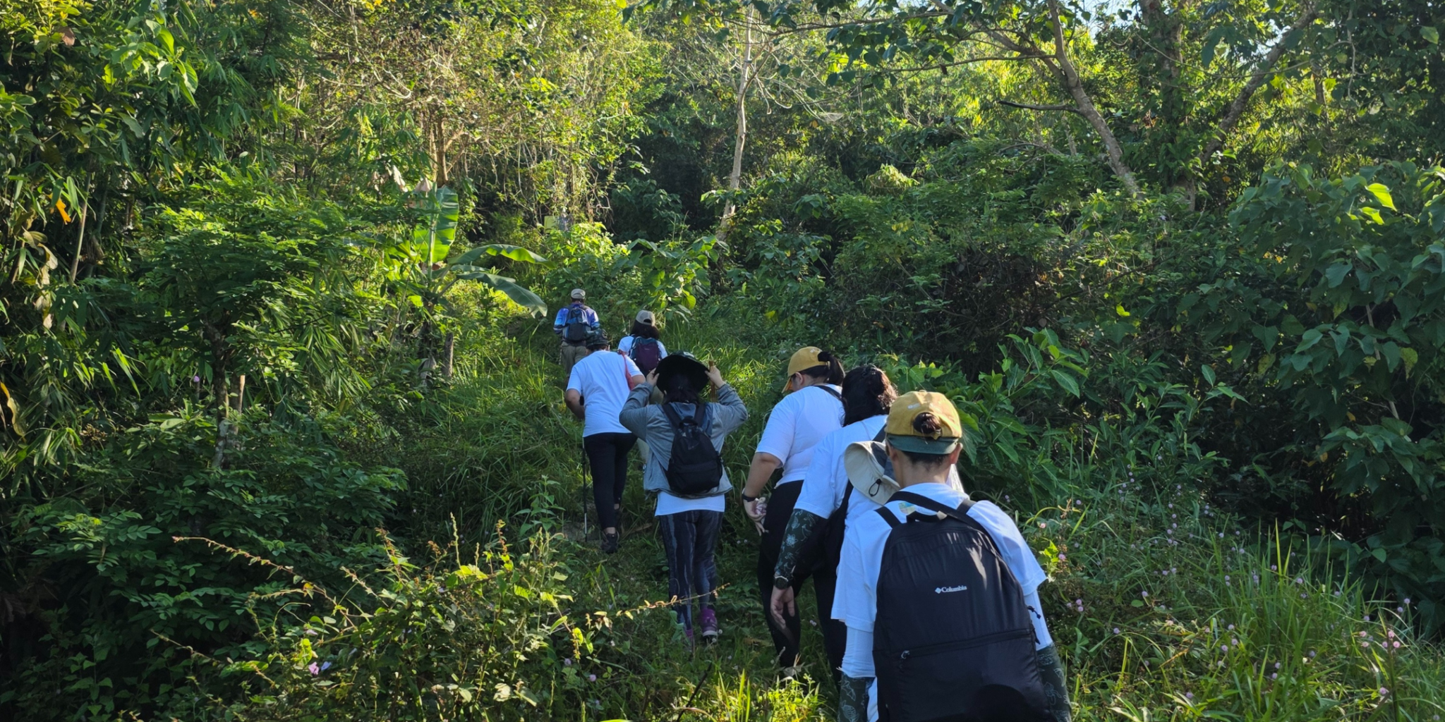 Growing Together: Businesses and Communities for the Forests - Forest ...