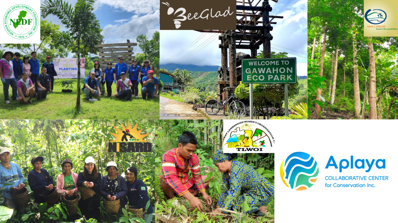 Forest Foundation Philippines, with Government of Canada support ...